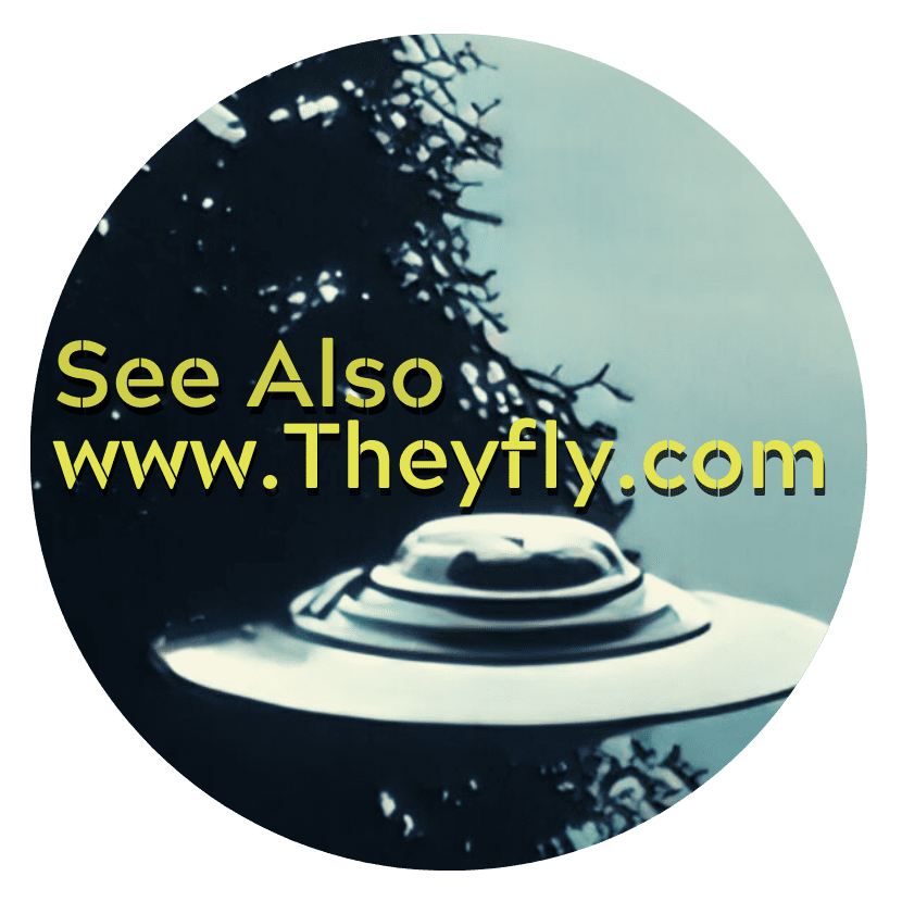 They Fly Blog & News