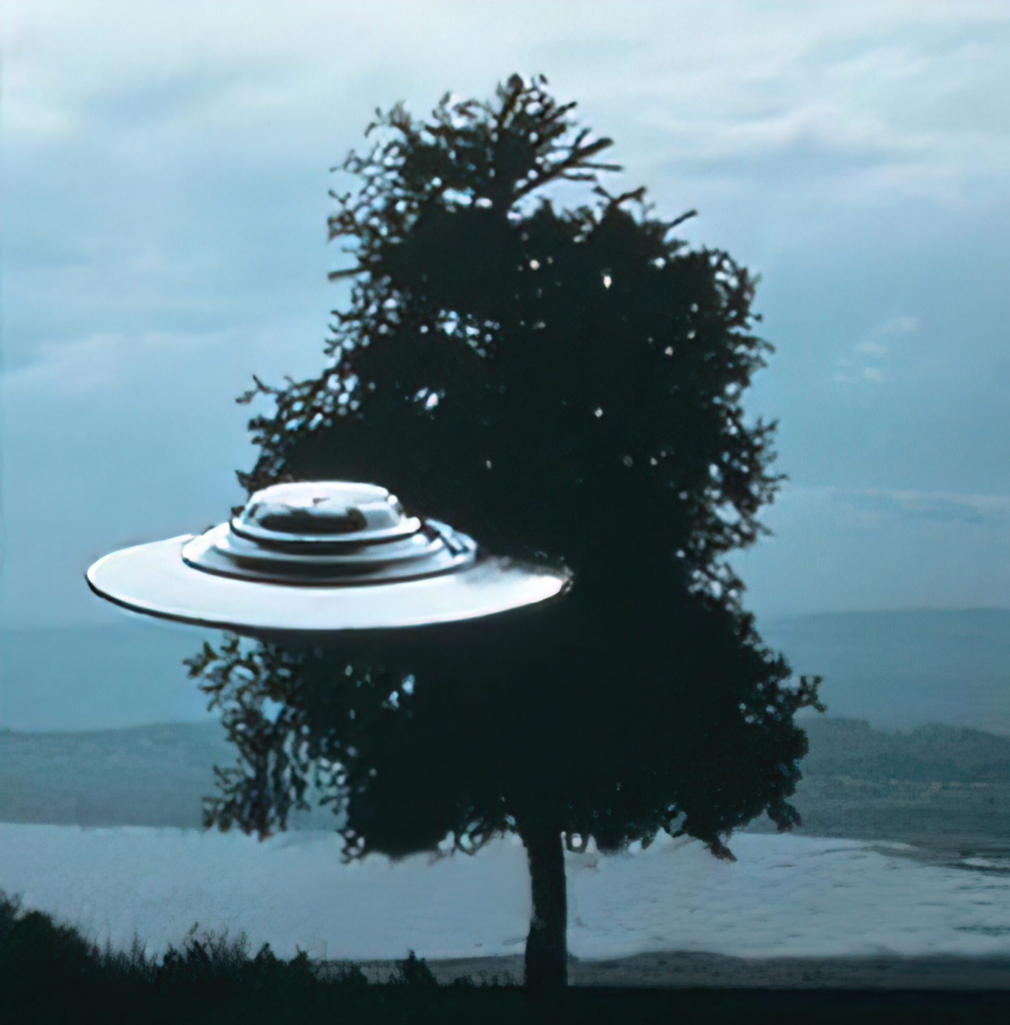 Beamship Gallery