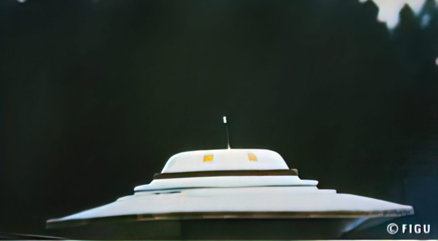 Wendelle Stevens… Insurmountable Evidence