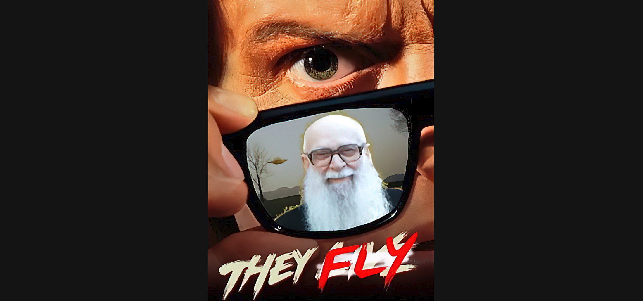 They Fly | They Fly Blog & News
