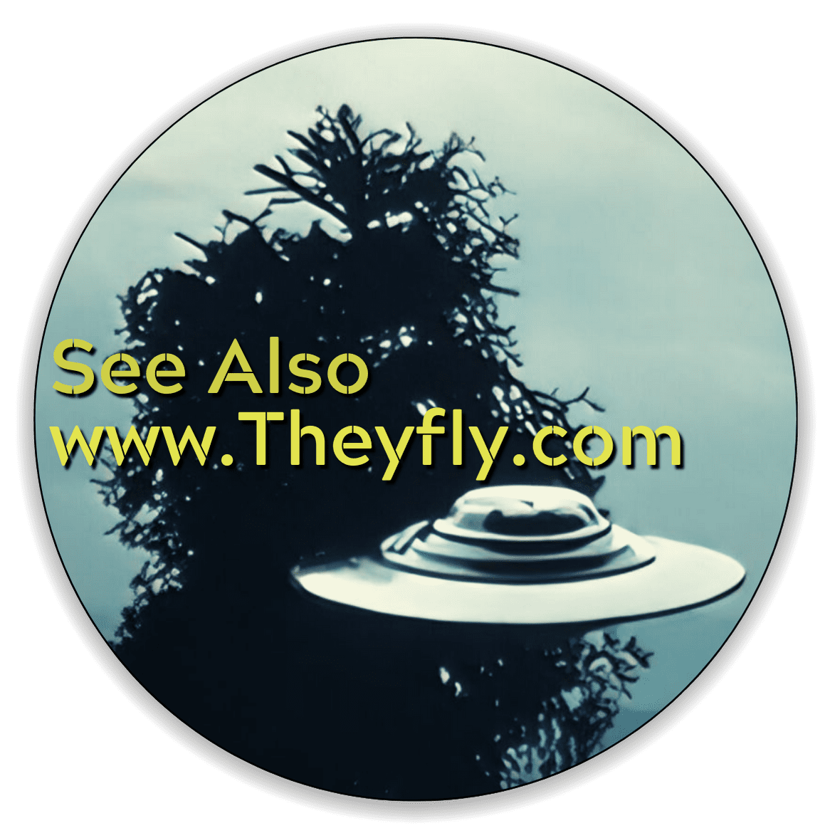 They Fly Blog & News